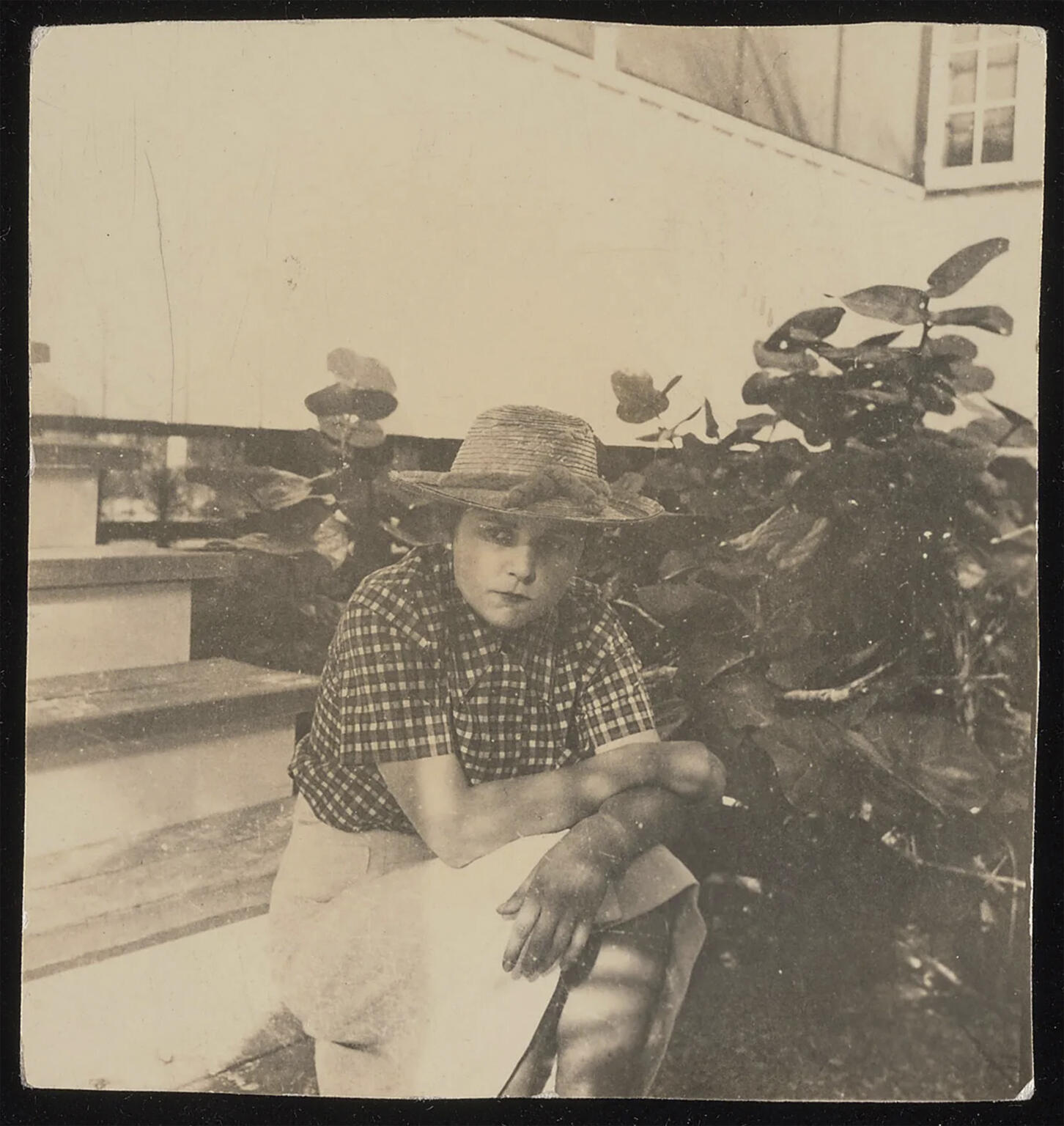 Elizabeth Bishop: A Poet of the Shorelines to Be Featured at the Next ...